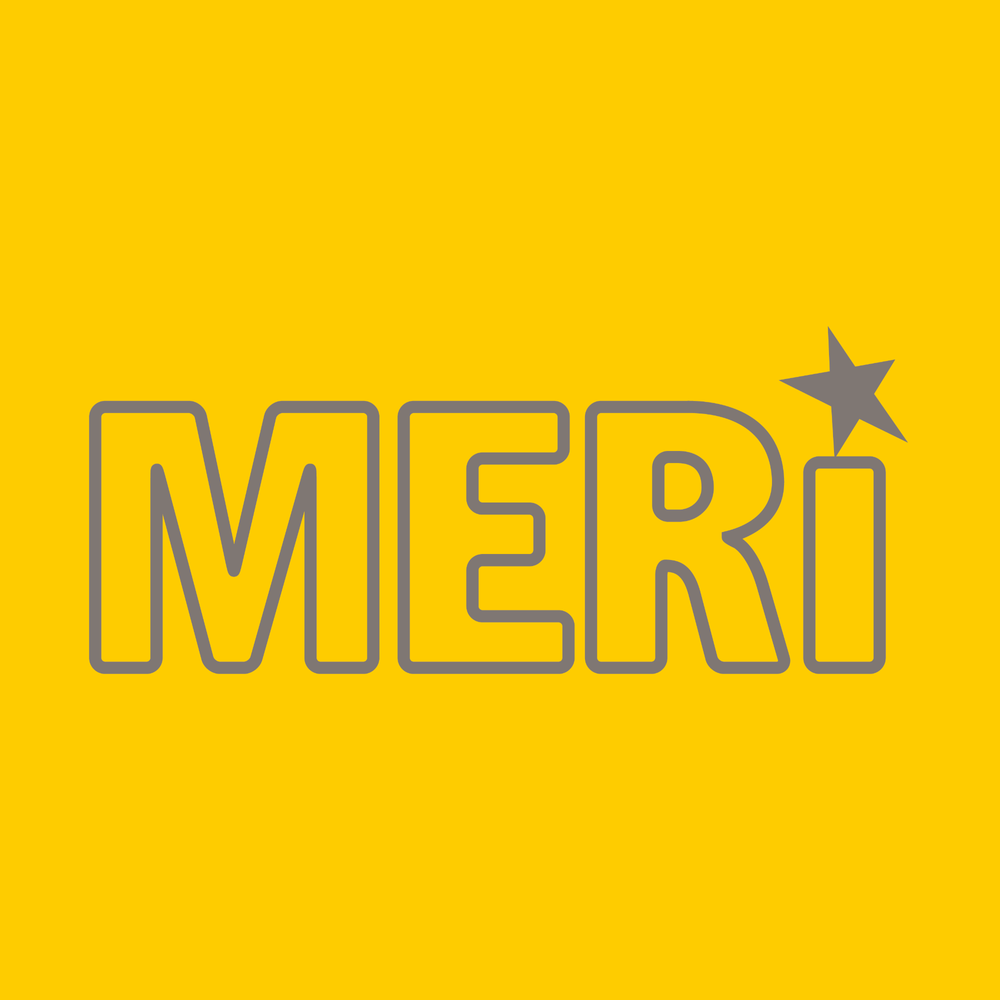 MERi 30 år - Vår resa och digitala framtid
