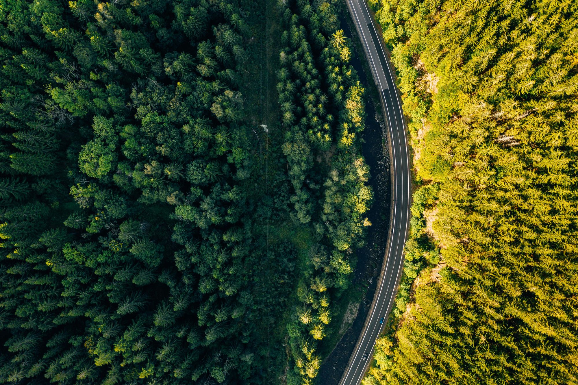 Serviced Emissions Hub: Consulting Working Group launch