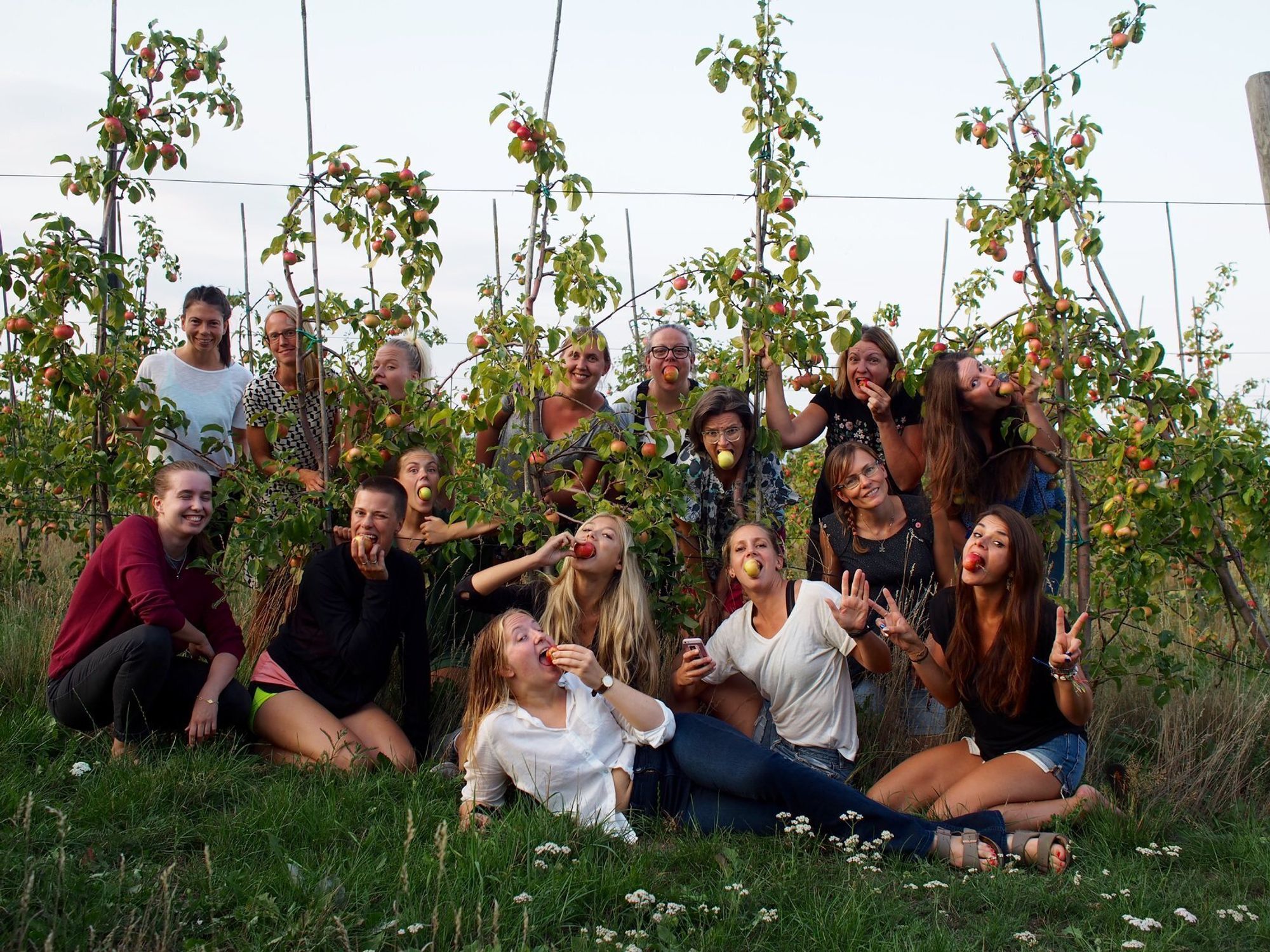 Java Camp for Beginners