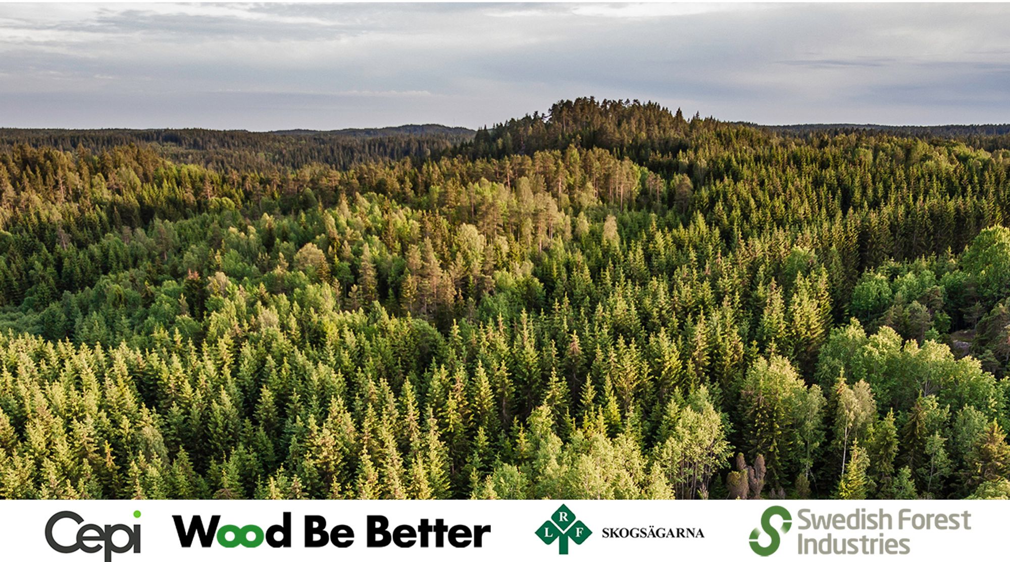 EU Forest-Based Industries for a sustainable future