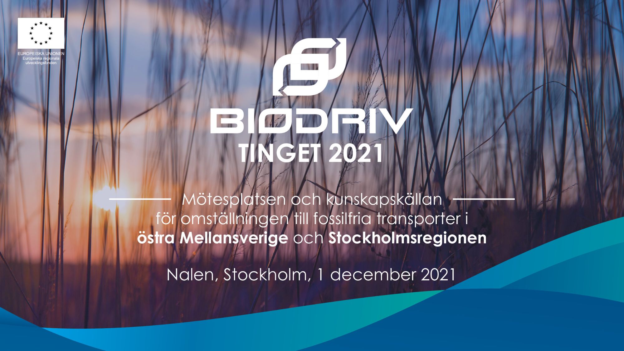 BioDriv Tinget 2021