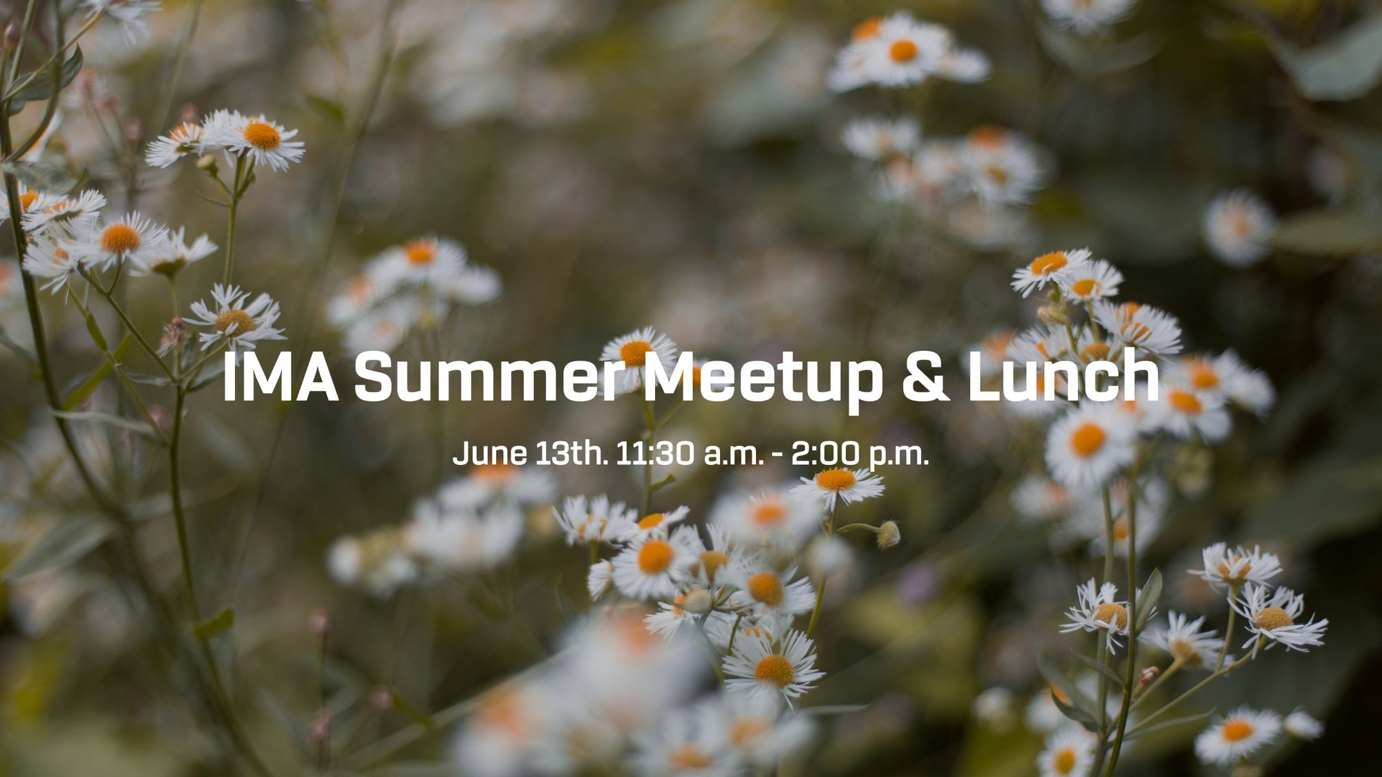 IMA Summer Meetup & Lunch