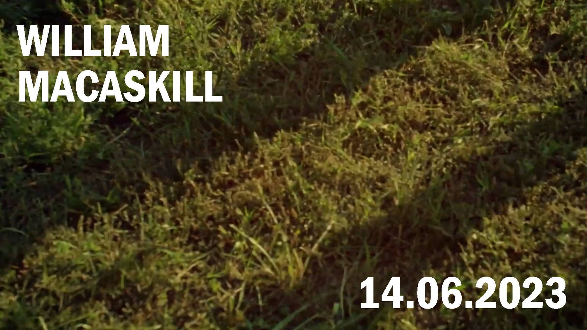 NORRSKEN CLOSE-UP WILL MACASKILL