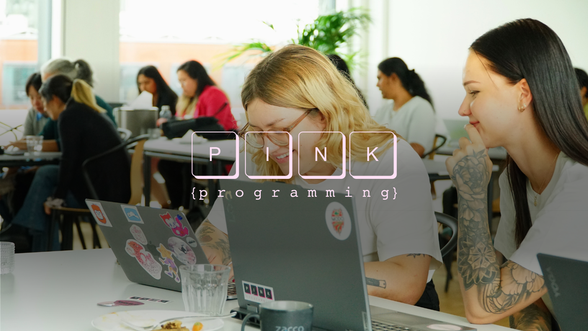 pinkprogramming